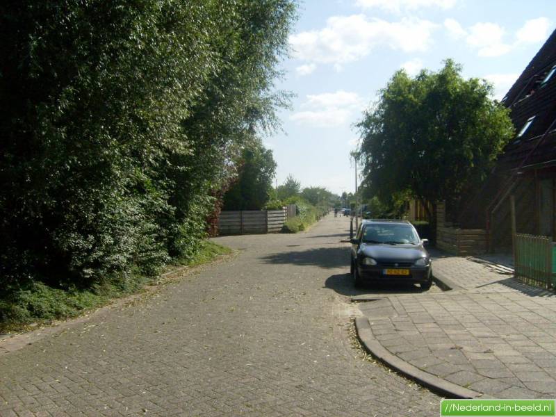 Luchtfoto's Rhoon / foto's Rhoon | Nederland-in-beeld.nl