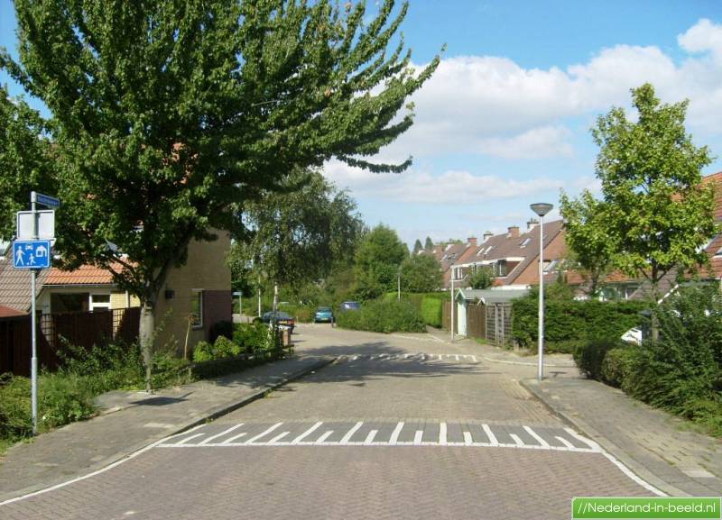 Luchtfoto's Rhoon / foto's Rhoon | Nederland-in-beeld.nl