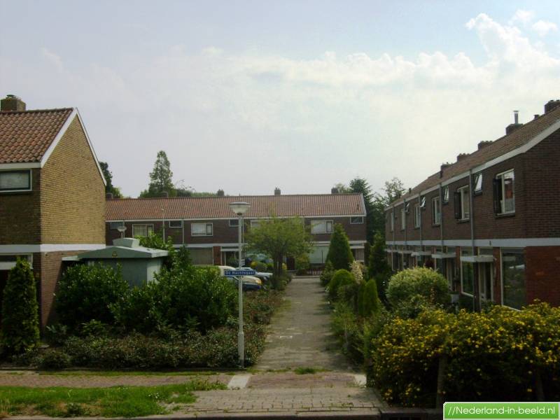 Luchtfoto's Rhoon / foto's Rhoon | Nederland-in-beeld.nl
