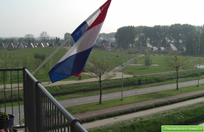 Luchtfoto's Rhoon / foto's Rhoon | Nederland-in-beeld.nl